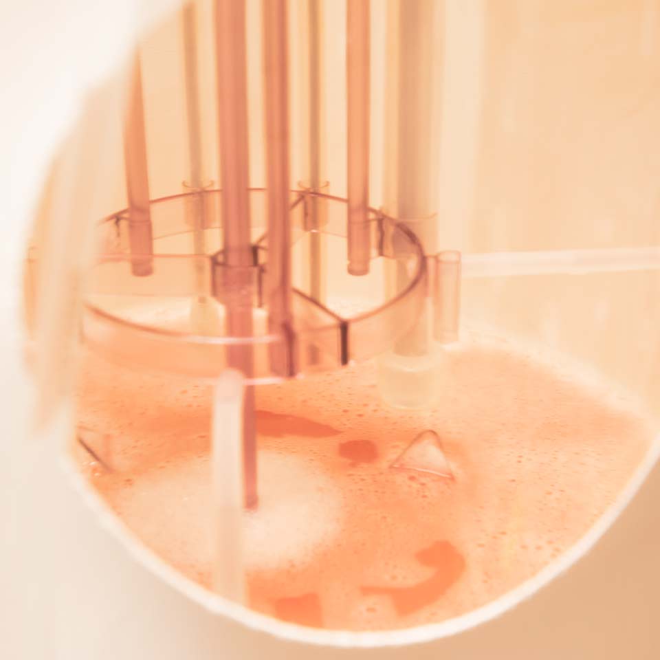 Cell line development, CHO protein, cGMP MCB/WCB｜ExcellGene